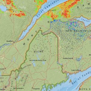 sidebar-interactive-map | Spruce Budworm