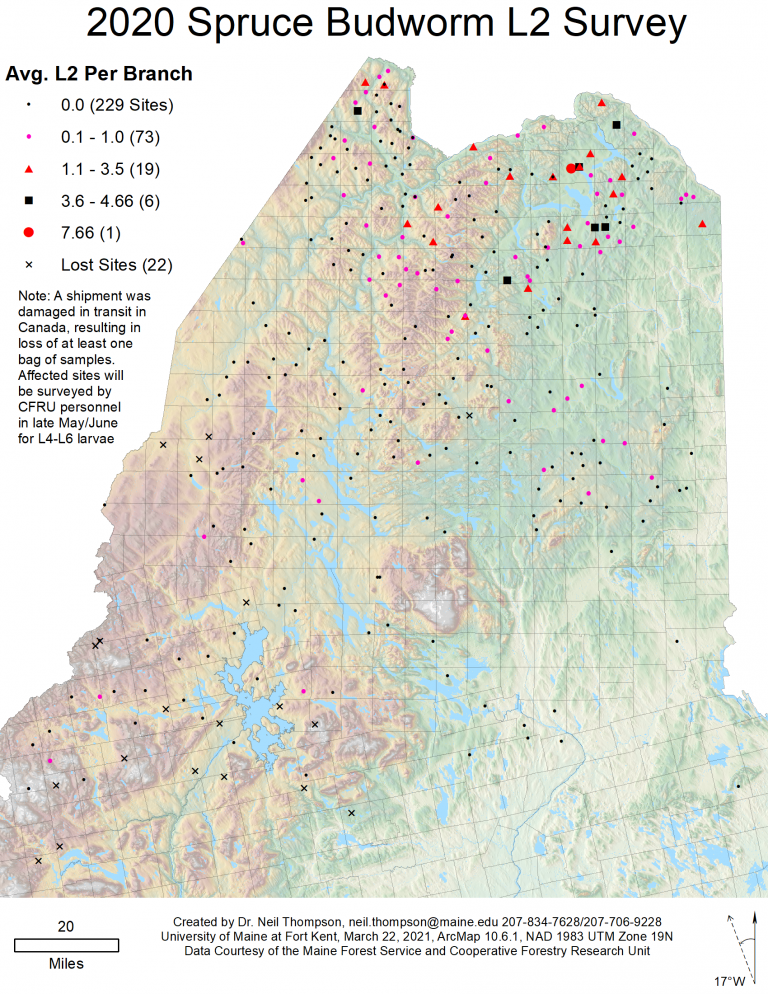 Maine L2 Survey Results | Spruce Budworm