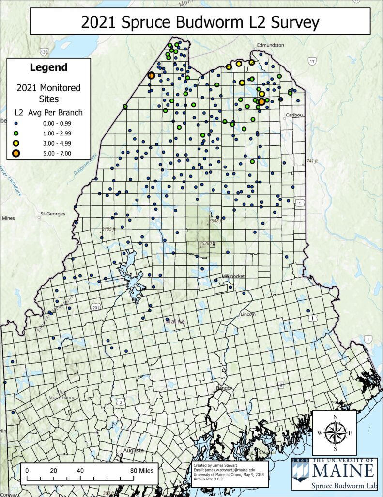 2021 L2 Map | Spruce Budworm