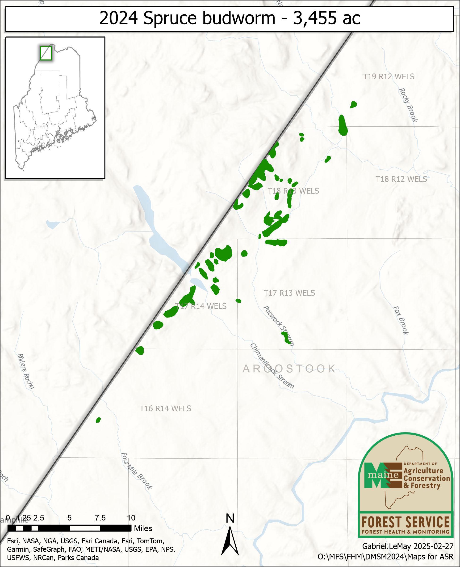2024 SBW Aerial Defoliation Survey | Spruce Budworm