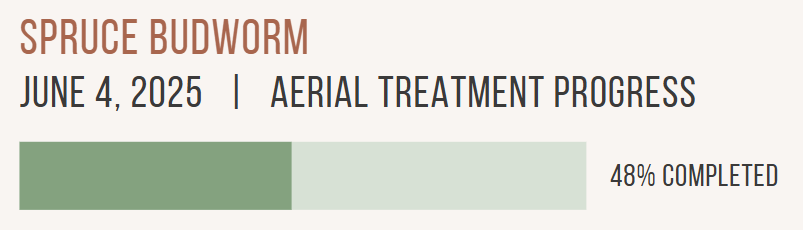 6.4.25 progress bar SBW | Spruce Budworm