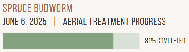 6.6.25 progress bar SBW | Spruce Budworm