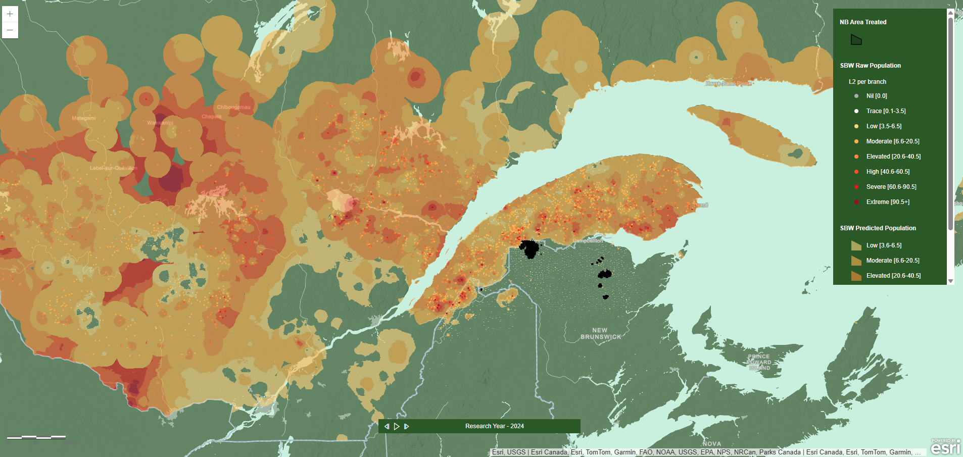 2024 Canadian SBW L2 Survey Screenshot | Spruce Budworm